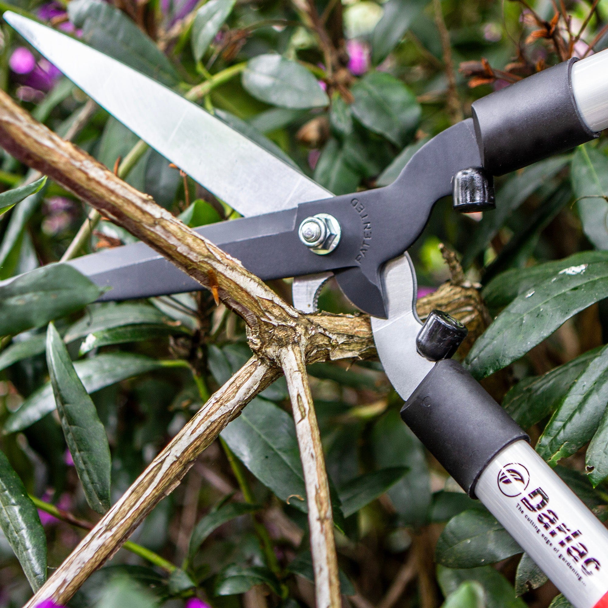 Cutting shears garden store